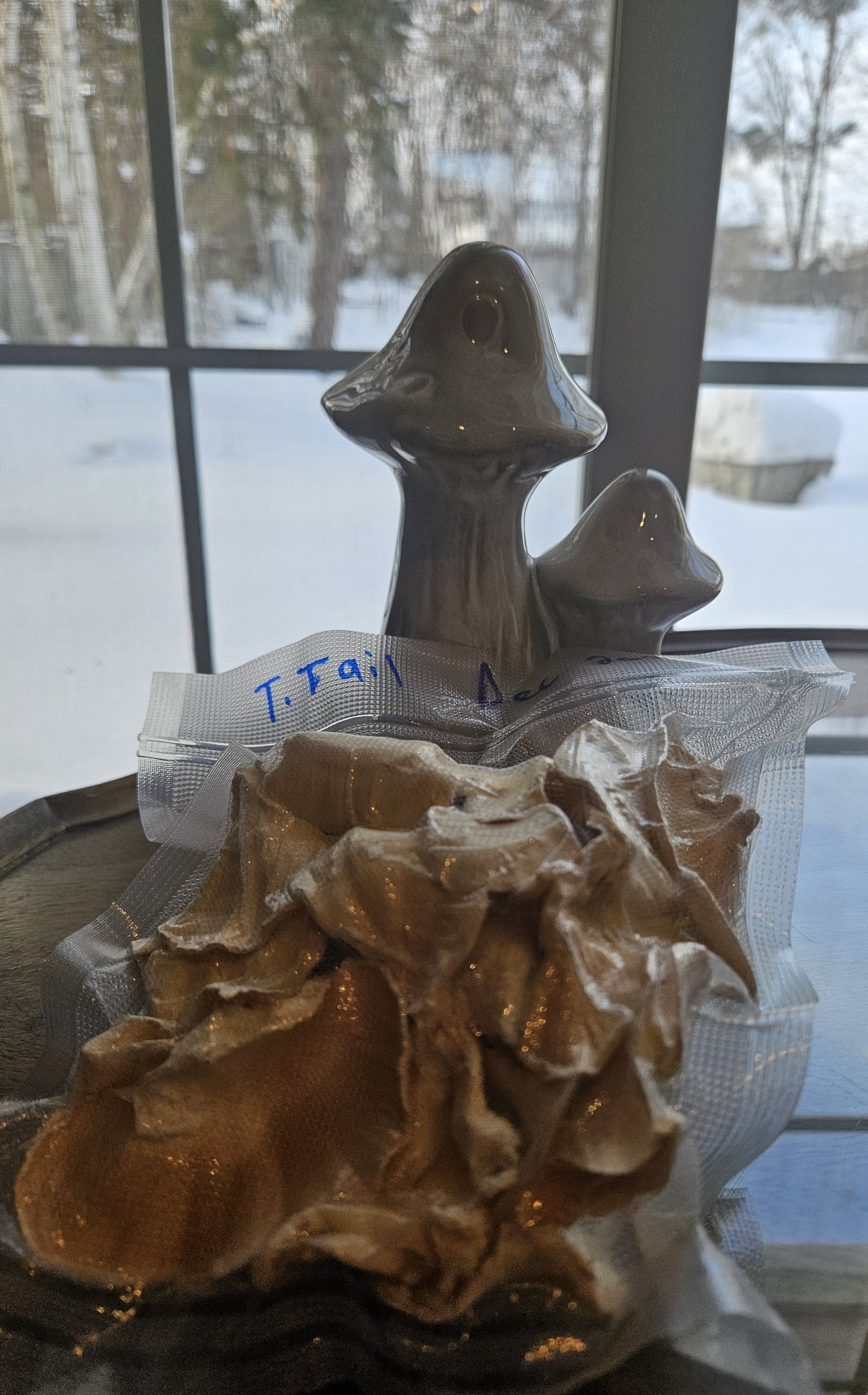 Dual Extract Turkey Tail Mushroom Tincture – IndieFood Wholesale